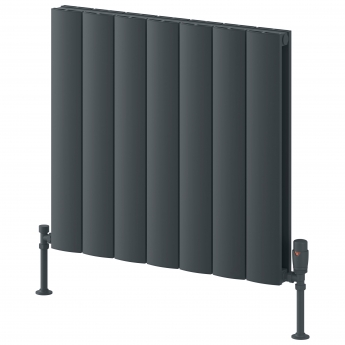Reina Loco Double Designer Radiator | Anthracite | 600mm x 660mm