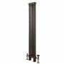 EcoRad Legacy Bare Metal Lacquer 2-Column Radiator | LGY2C18X4BM