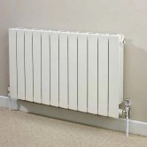 EcoRad | HeatandPlumb.com